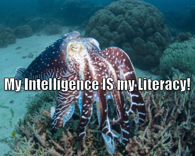 L is for…Lots of Literacies | Curious Squid